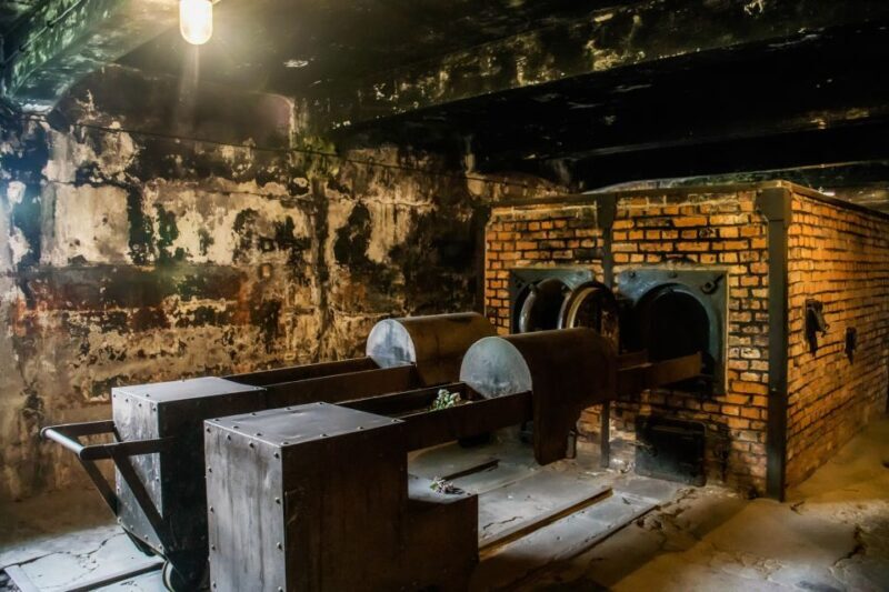 From Krakow: Auschwitz-Birkenau Tour with Transportation - The Sum Up: Who Should Consider This Tour?