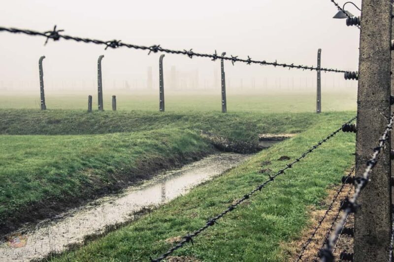 From Krakow: Auschwitz-Birkenau Trip with Booklet - Who is this tour best suited for?