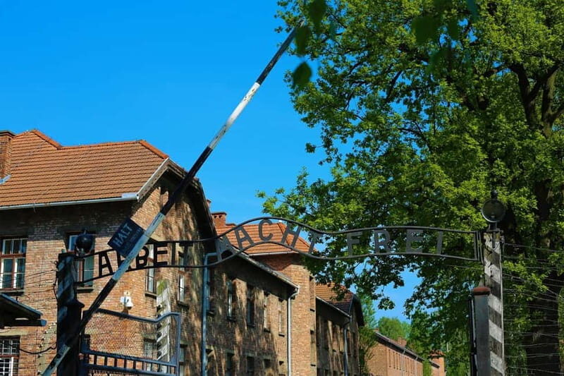 From Krakow: Auschwitz Museum and Wieliczka Salt Mine Tour - Practicalities and What You Need to Know