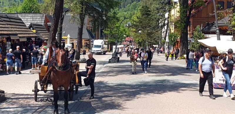 From Krakow: Day Tour of Zakopane and Tatra Mountains - Authentic Experiences and Local Flavor