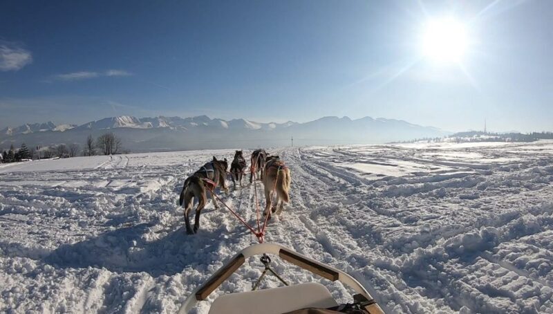 From Krakow: Dogsled Ride in Tatra Mountain - Final thoughts: Is this tour right for you?