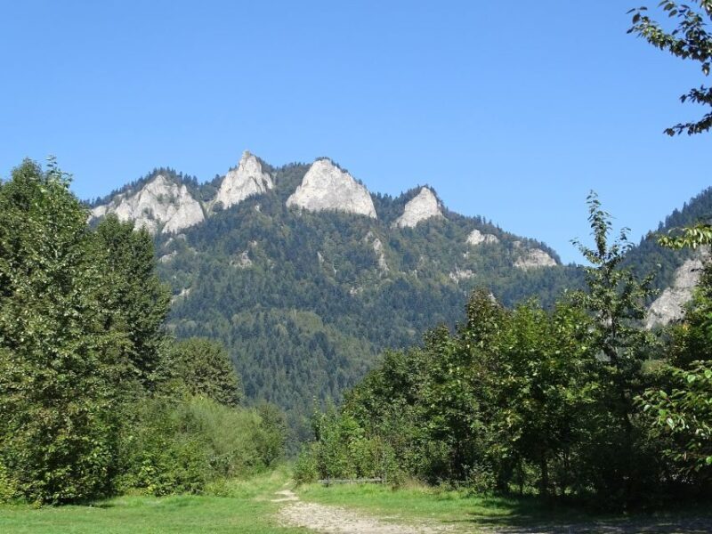 From Krakow: Dunajec River Rafting - Who Might Find It Less Suitable?