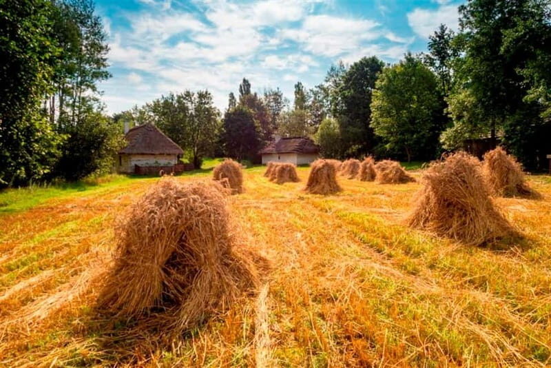 From Krakow: Ethnographic Park in Tokarnia - The Itinerary in Detail