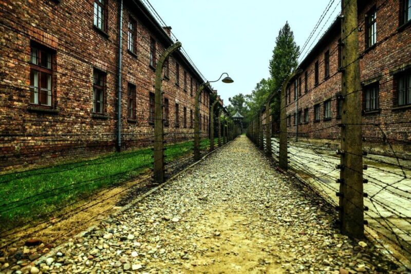 From Krakow: Guided Auschwitz-Birkenau Group Tour by Minivan - Key Points