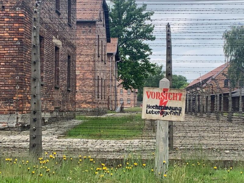 From Krakow: Guided Auschwitz-Birkenau Group Tour by Minivan - Auschwitz II-Birkenau: The Death Camp