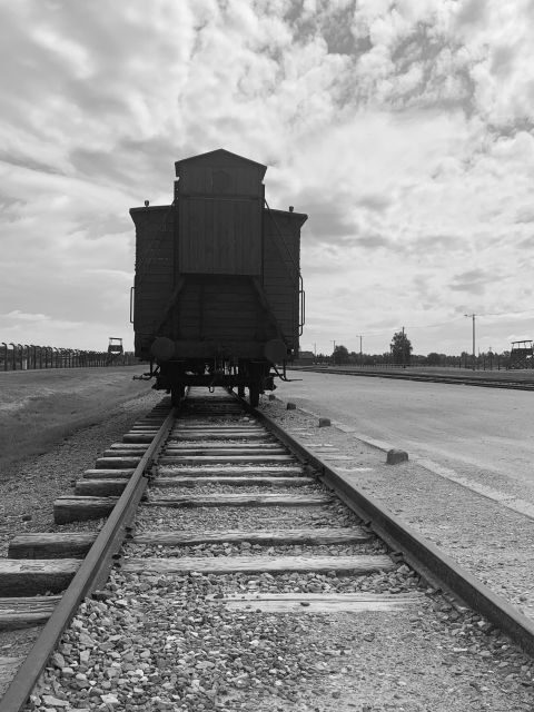 From Krakow: Guided Auschwitz-Birkenau Group Tour by Minivan - The Emotional Impact & Reflection