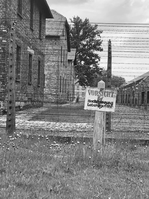 From Krakow: Guided Auschwitz-Birkenau Group Tour by Minivan - Who Should Consider This Tour?