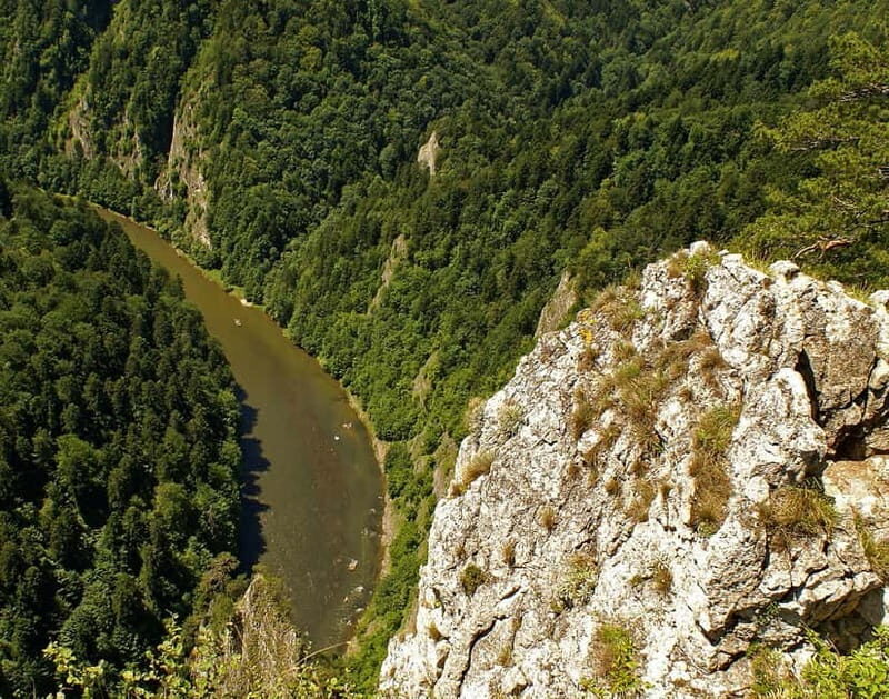 From Krakow: Rafting on Dunajec River Full-Day Trip - An In-Depth Look at the Dunajec River Rafting Experience