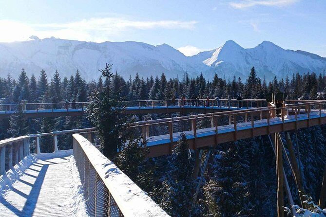 From Kraków: Slovakia Treetop Walk and Bachledka Ski - Key Points