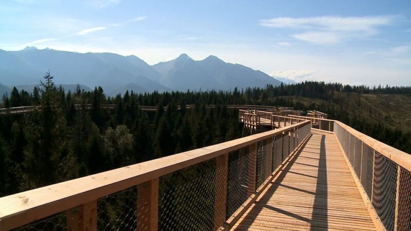 From Kraków: Slovakia Treetop Walk and Thermal Baths - Final Thoughts