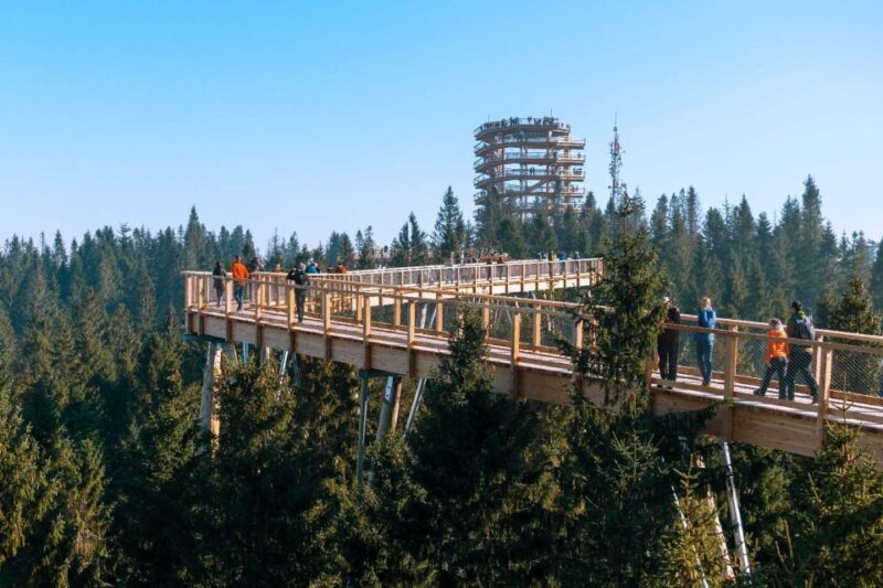 From Kraków: Slovakia Treetop Walk and Tour of Zakopane - Final Thoughts