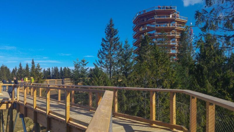 From Krakow: Slovakia Treetop Walk, Zakopane & Thermal Spa - Key Points