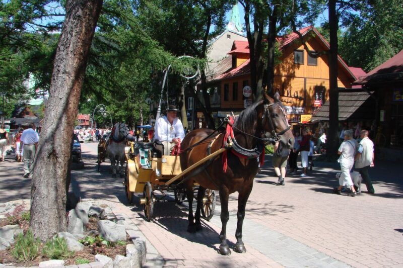 From Krakow: Slovakia Treetop Walk, Zakopane & Thermal Spa - Authentic Experiences and What Travelers Say
