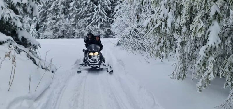 From Krakow: Snowmobile, Zakopane & Chochoowskie Baths - The Sum Up: Who Will Love This Tour?