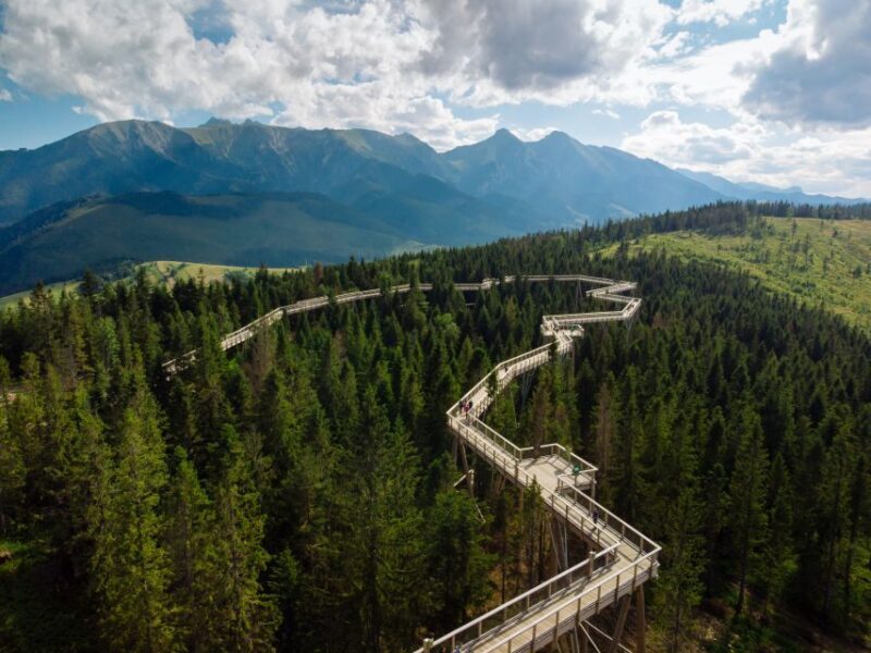 From Krakow: Treetop Walk & Zakopane Visit Small Group Tour - A Detailed Look at the Experience