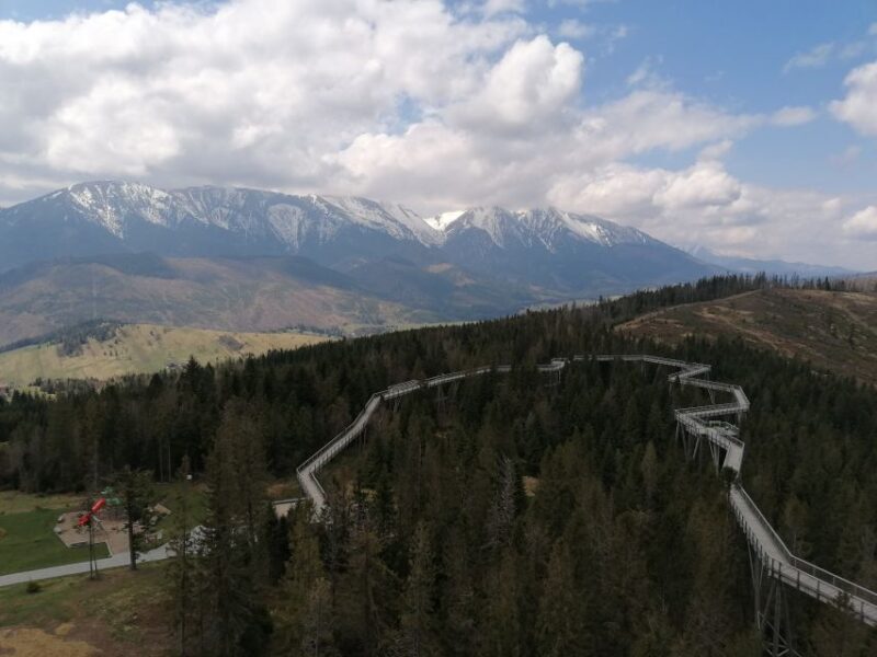 From Krakow: Treetop Walk & Zakopane Visit Small Group Tour - The Sum Up: Why This Tour Delivers Value