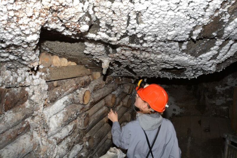 From Krakow: Wieliczka Salt Mine Half-Day Guided Tour - Final Thoughts: Who Will Love This Tour?