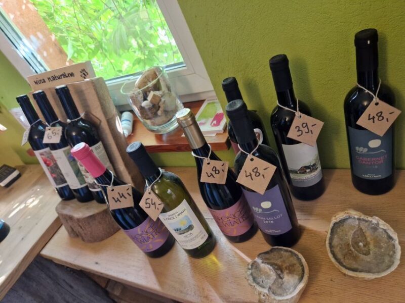 From Krakow: Wine Tasting at Vineyard - Final Verdict