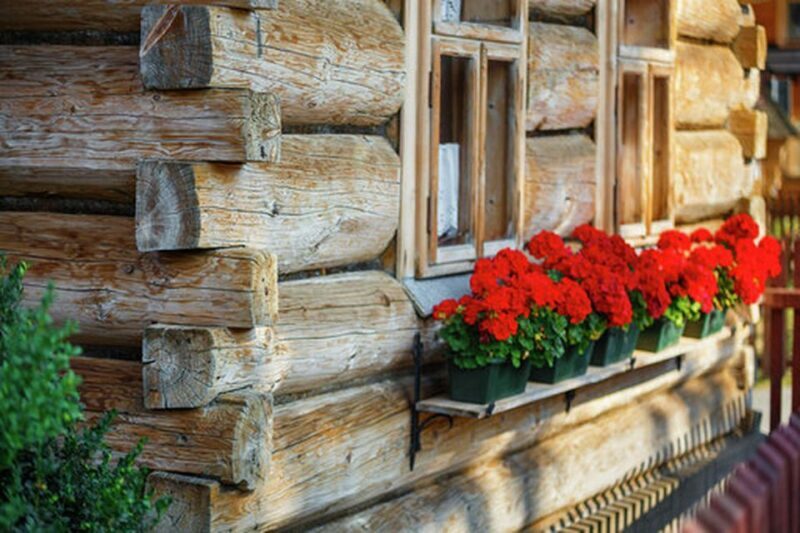 From Krakow: Zakopane and Dunajec River Rafting Tour - In-Depth Look at the Tour Experience