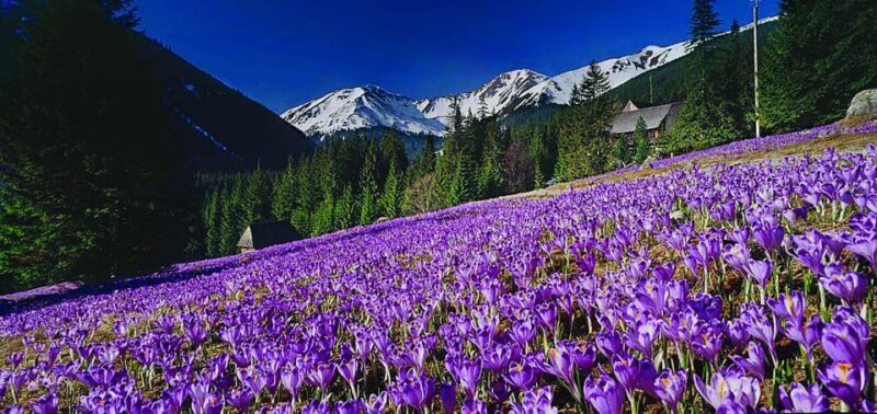 From Krakow: Zakopane and Tatras Mountains Full-Day Tour - FAQ