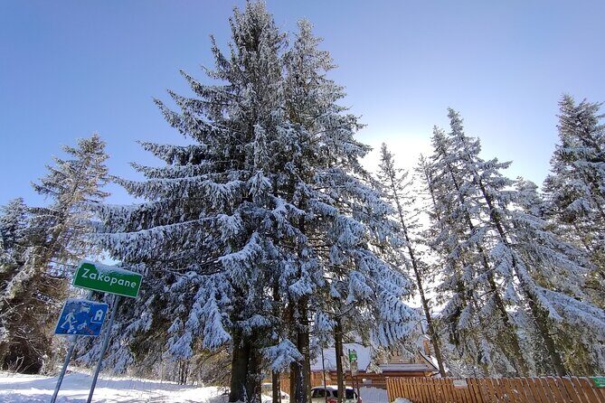 From Krakow: Zakopane & Chocholowskie Thermal Baths - An Honest Look at the Itinerary