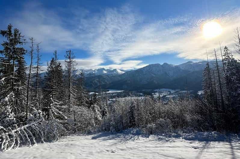 From Krakow: Zakopane Day Trip with Funicular & Food Tasting - Discover Zakopane on a Day Trip from Krakow: Funicular Rides, Food, and Mountain Views