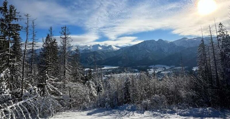 From Krakow: Zakopane Day Trip with Funicular & Food Tasting - The Itinerary: What to Expect on Your Day Trip to Zakopane