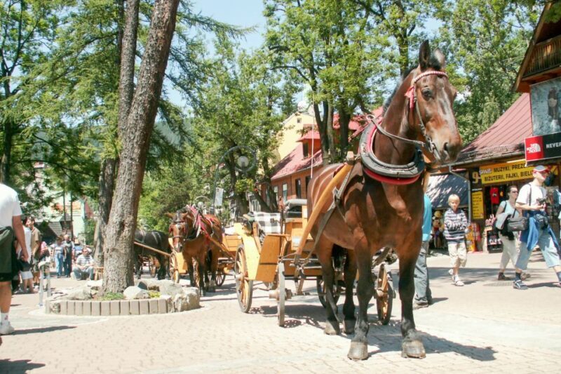From Krakow: Zakopane & Tatra Mountains Tour - FAQ