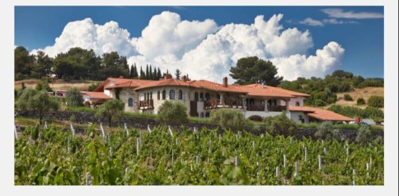 From Kuadas: Private Ephesus and Wine Tasting Tour - Accessibility and practical considerations