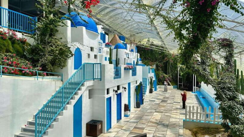 From Kuala Lumpur: Cameron Highlands Day Tour w/Lunch&Pickup - Final Thoughts