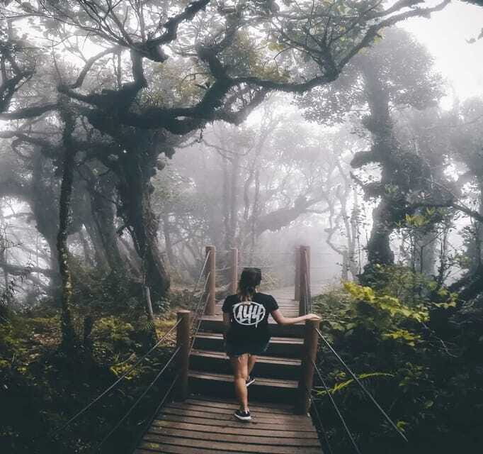 From Kuala Lumpur: Cameron Highlands Day Trip with Transfers - Final Thoughts