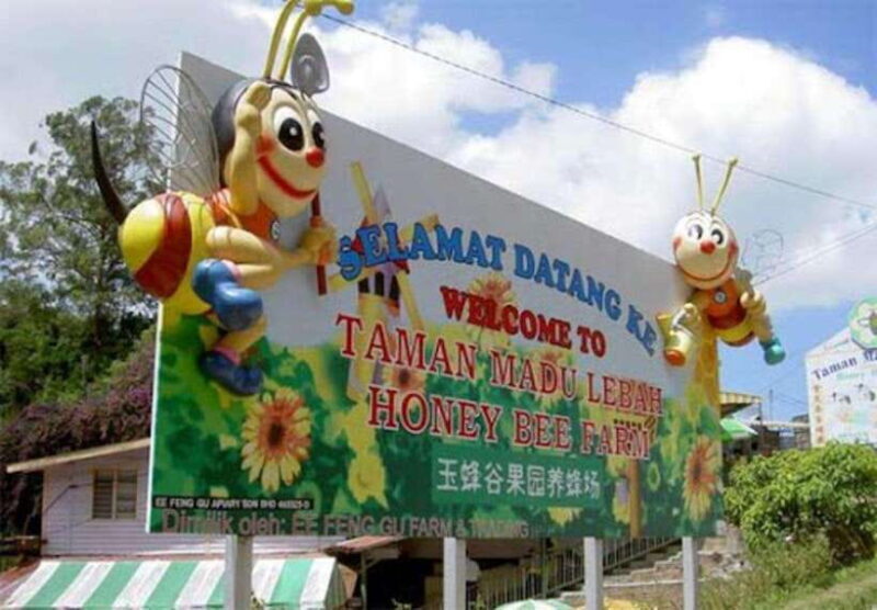 From Kuala Lumpur: Cameron Highlands Private or Join In Tour - Final Thoughts