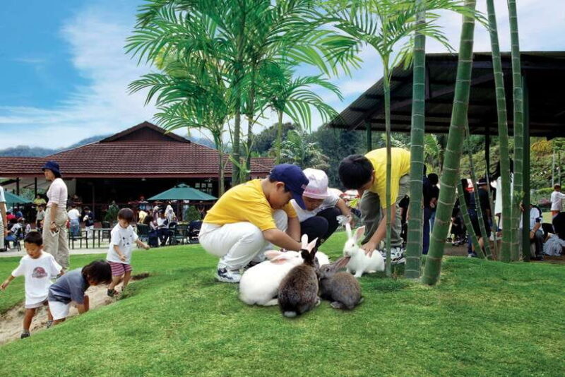 From Kuala Lumpur: Colmar Tropicale and Batu Caves Day Trip - Key Points