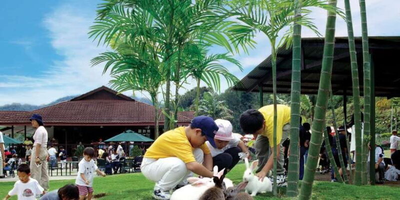 From Kuala Lumpur: Colmar Tropicale and Batu Caves Day Trip - Who Will Love This Tour?