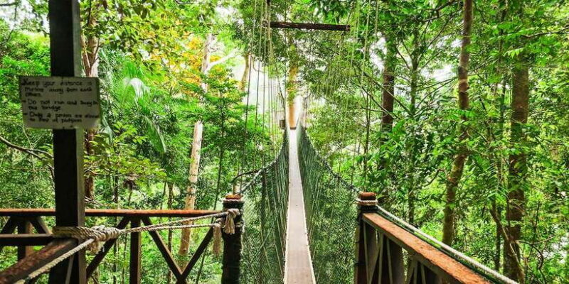 From Kuala Lumpur: Full-Day Taman Negara National Park - Lunch and Return Journey