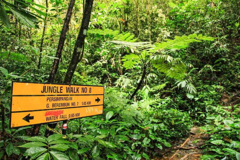 From Kuala Lumpur: Full-Day Taman Negara National Park - Who Will Love This Tour?