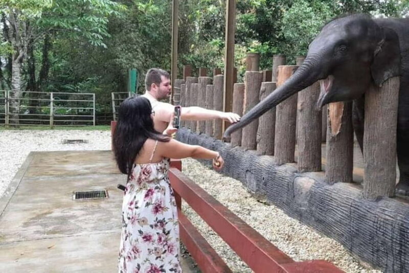 From Kuala Lumpur: Kuala Gandah & Batu Caves Day Trip - What to Expect on the Tour