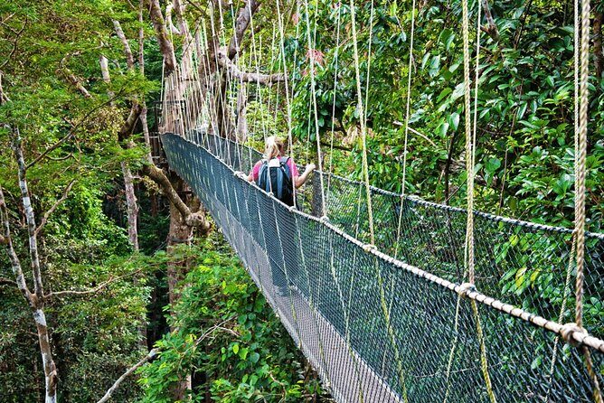 From Kuala Lumpur Taman Negara Day Trip With Lunch - Who Should Consider This Tour?