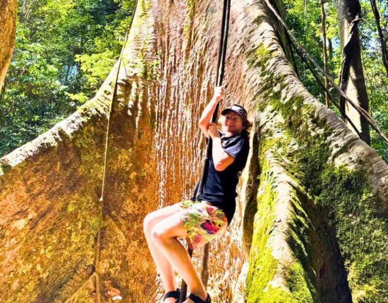 From Kuala Lumpur: Taman Negara National Park Private Tour - Key Points