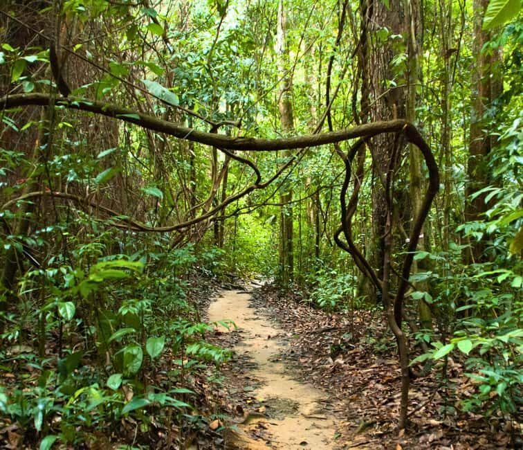 From Kuala Lumpur: Taman Negara National Park Private Tour - Discovering the Heart of Malaysia’s Rainforest