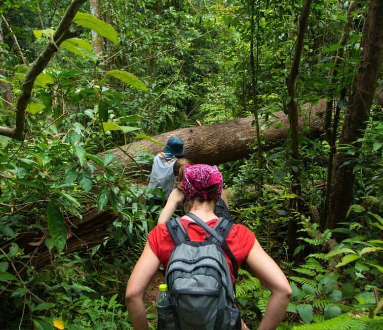 From Kuala Lumpur: Taman Negara National Park Private Tour - What’s Included and Practicalities