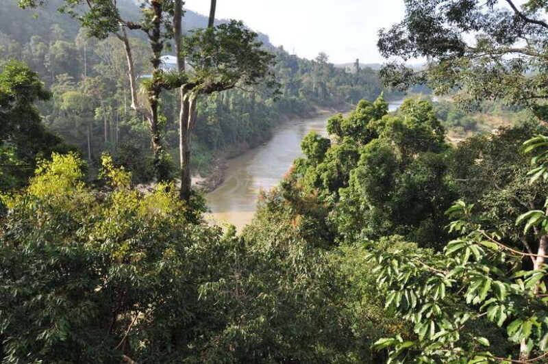 From Kuala Lumpur: Taman Negara National Park Trek Day Tour - Authentic Experiences and Authenticity
