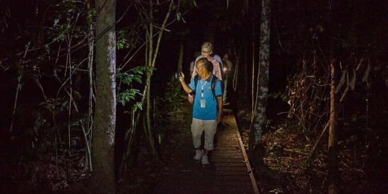 From Kuala Tahan : 4-Day Taman Negara Rainforest Tour - An In-Depth Look at the 4-Day Taman Negara Rainforest Tour