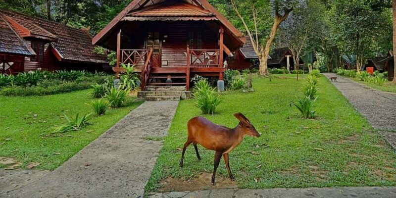 From Kuala Tahan : 4-Day Taman Negara Rainforest Tour - Who Should Consider This Tour?