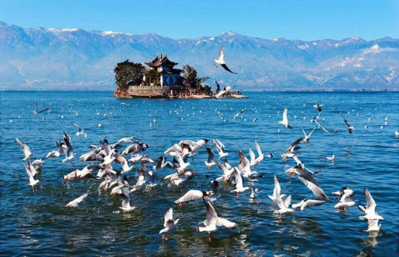 From Kunming: 9-Day Yunnan Highlights Tour with Bullet Train - Key Points