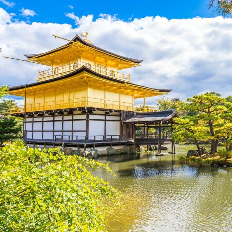 From Kyoto: Kyoto Highlights Private Tour with English Guide - Who Will Love This Tour?