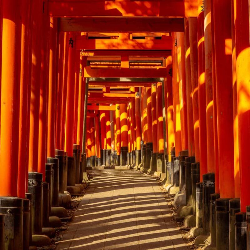 From Kyoto Osaka Nara: Kyoto Private Tour By English Driver - Final Thoughts