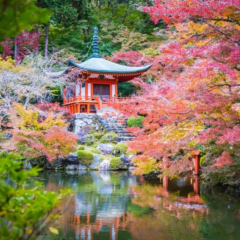 From Kyoto Osaka Nara: Kyoto Private Tour By English Driver - FAQs