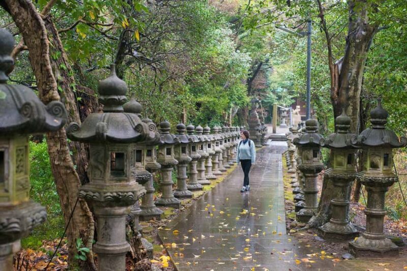 From Kyoto: Relaxing Island Exploration, Local Seafood Lunch - The Value of the Experience