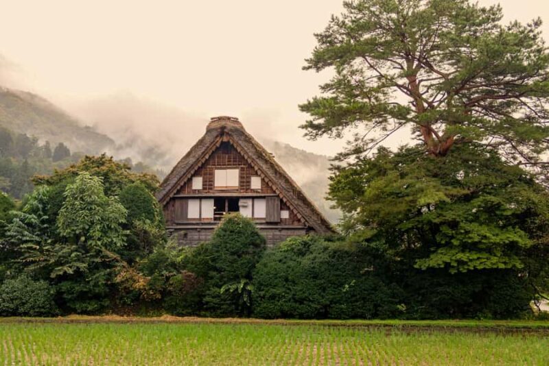 From Kyoto: Shirakawago & Kanazawa Day Trip by Bullet Train - Who Will Love This Tour?